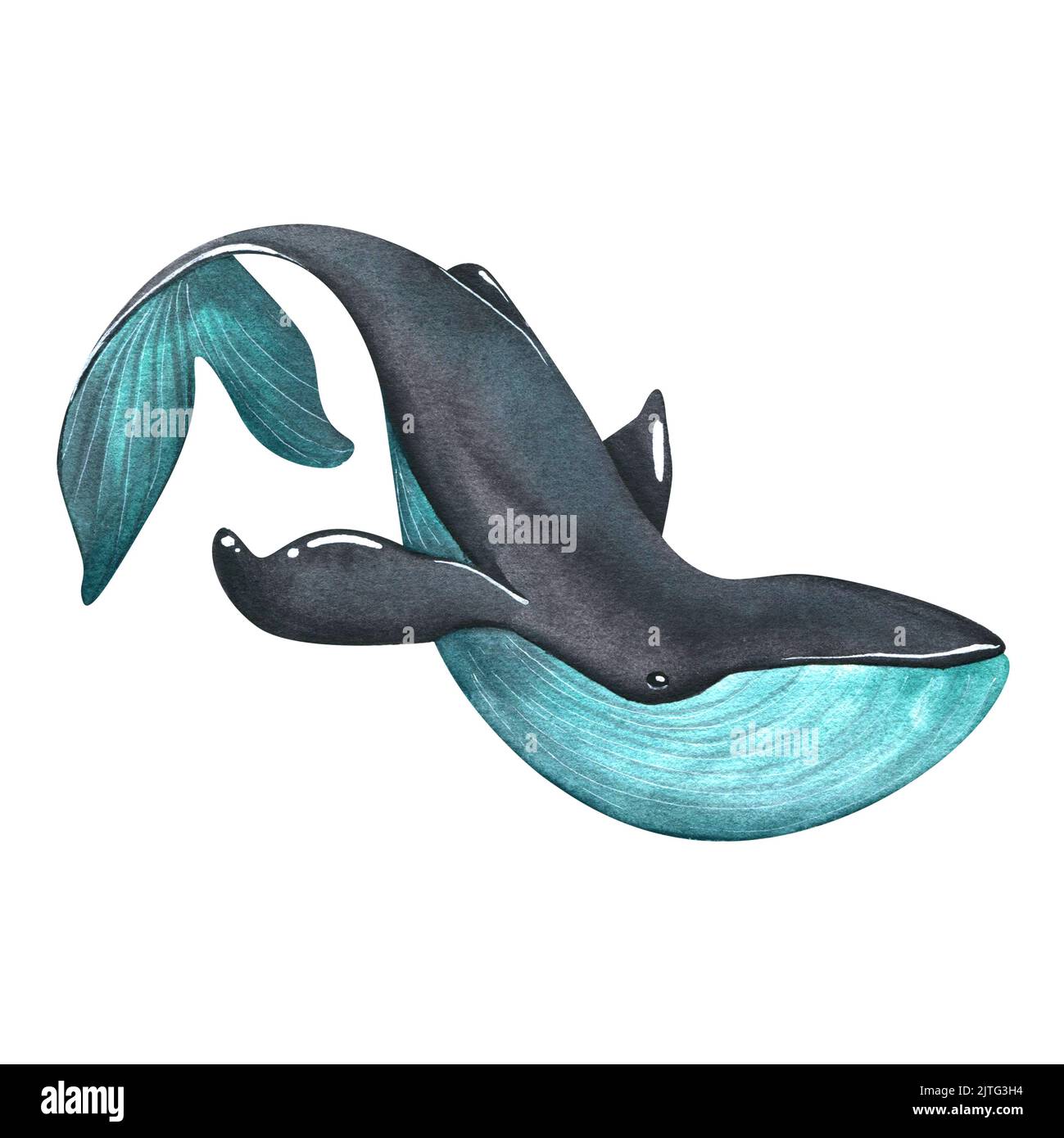 A big blue and black whale. Watercolor illustration. An isolated object ...