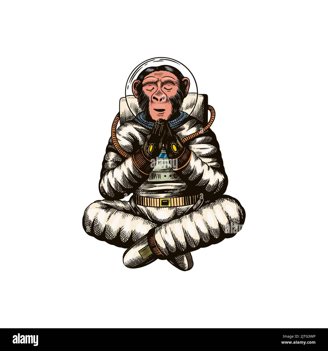 Monkey in spacesuit hi-res stock photography and images - Alamy