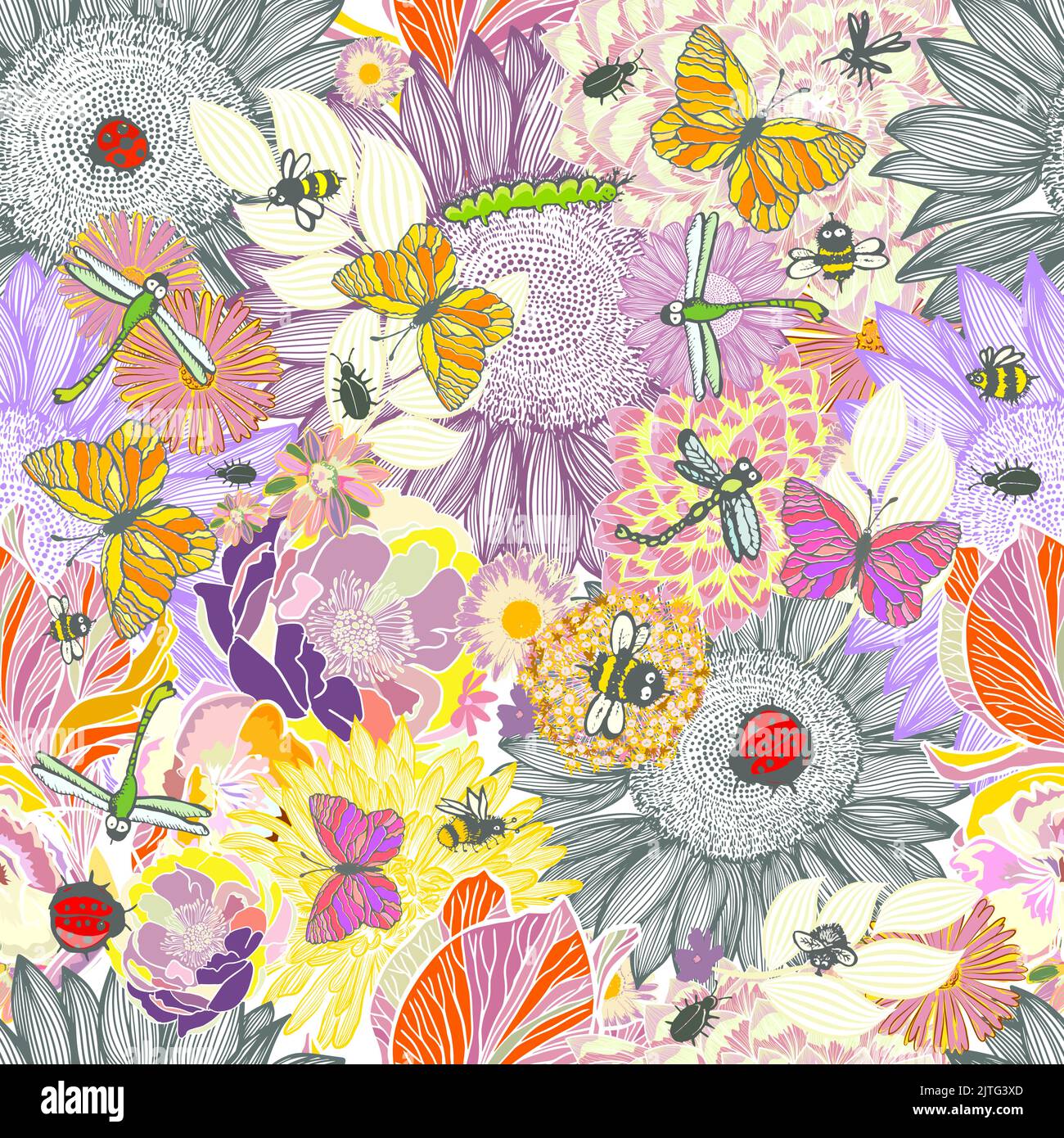 Insects with beautiful patterns Stock Vector Images - Alamy