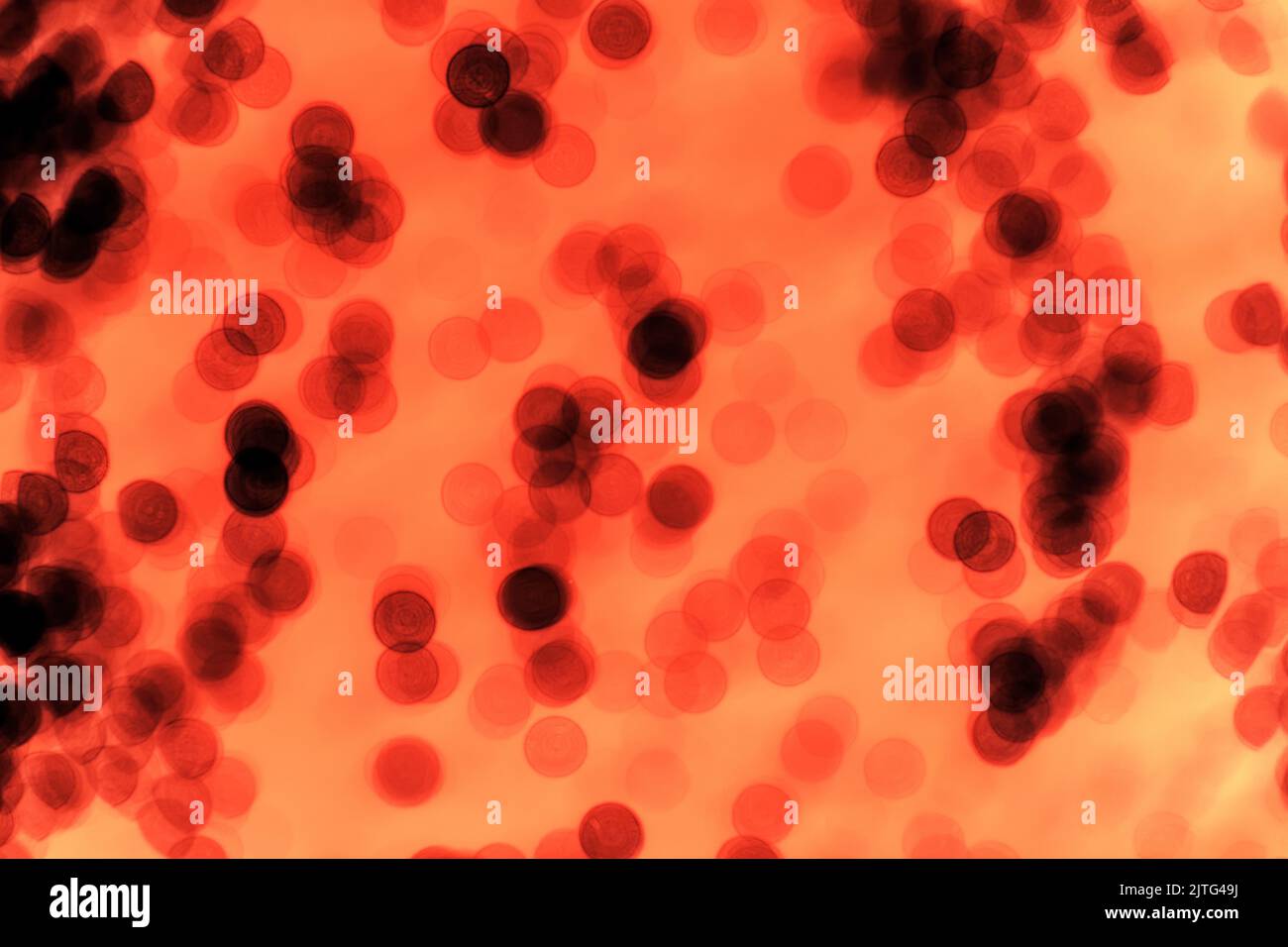 orange, black, glowing fire bokeh background. De-focused Abstract Light ...