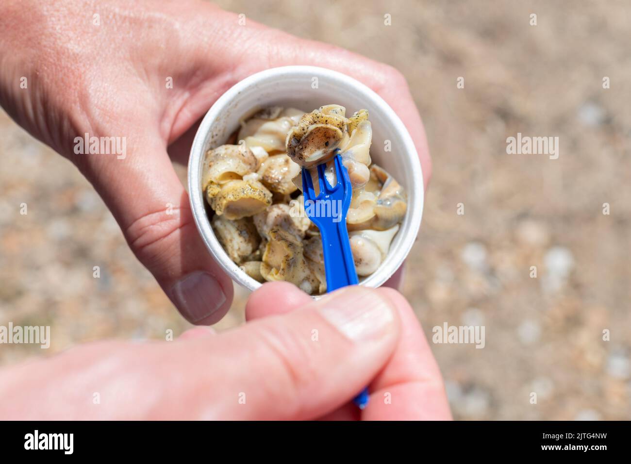 Tub of whelks hi-res stock photography and images - Alamy