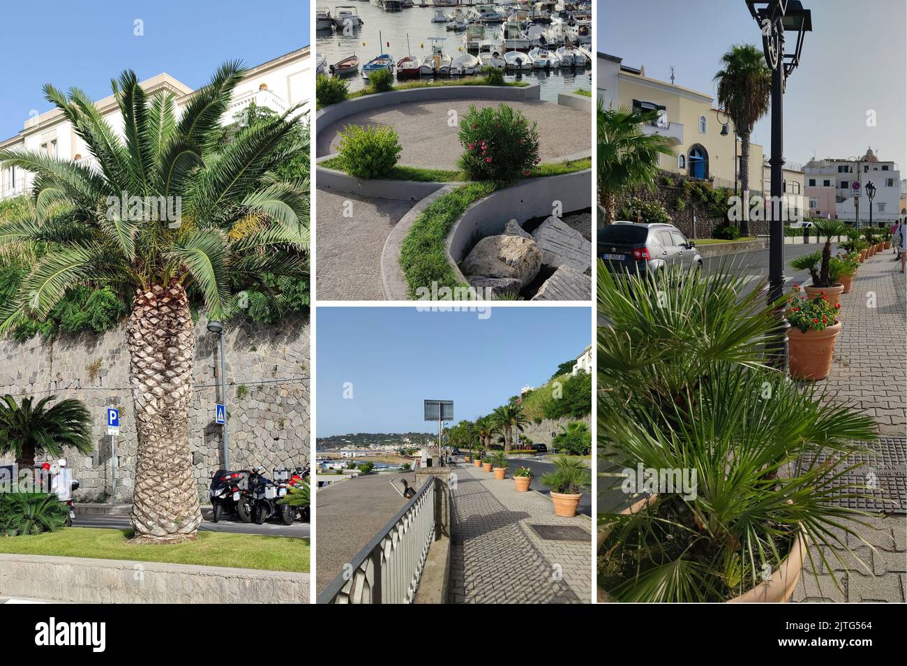 The beautiful town of Forio municipality of the island of Ischia, one ...