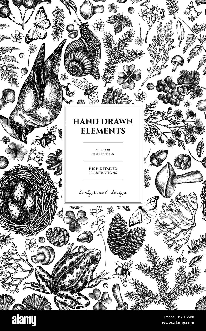 Mysterious forest pattern card design. Hand drawn waxwing, snail, nest ...