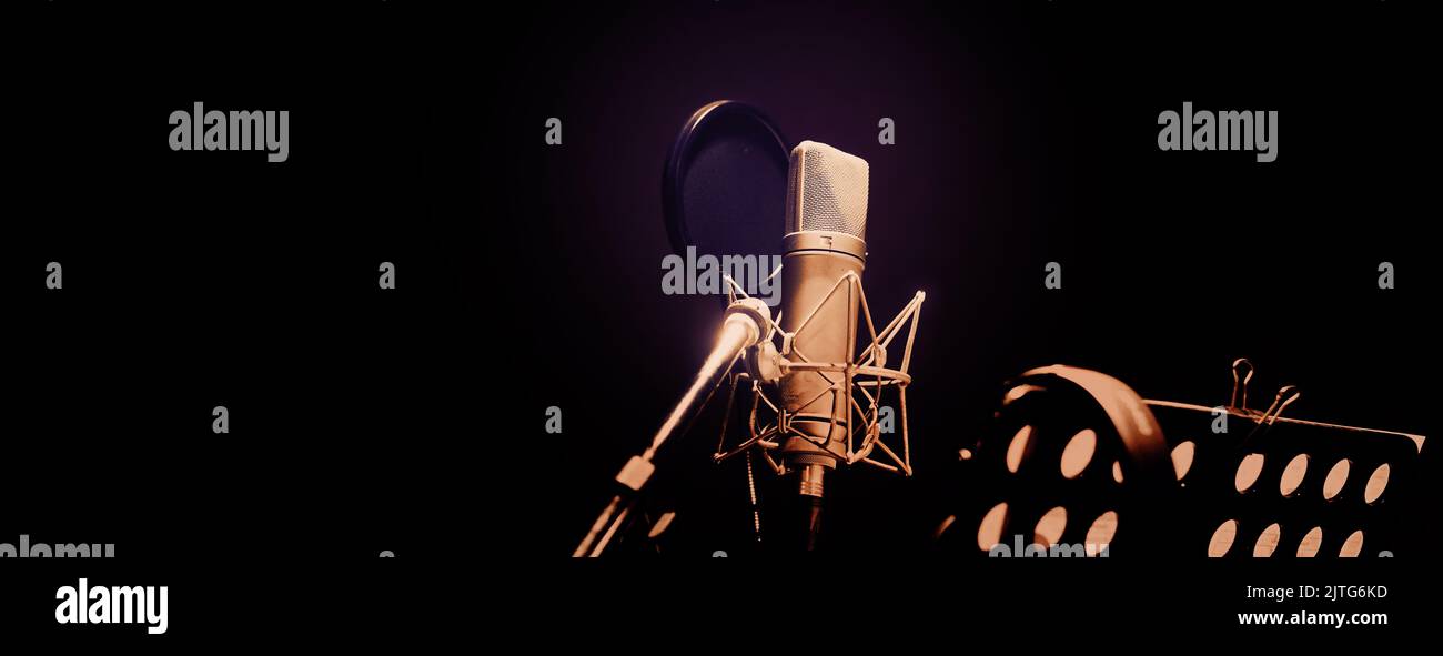 Professional microphone and anti vibration on mic stand. Microphone in ...