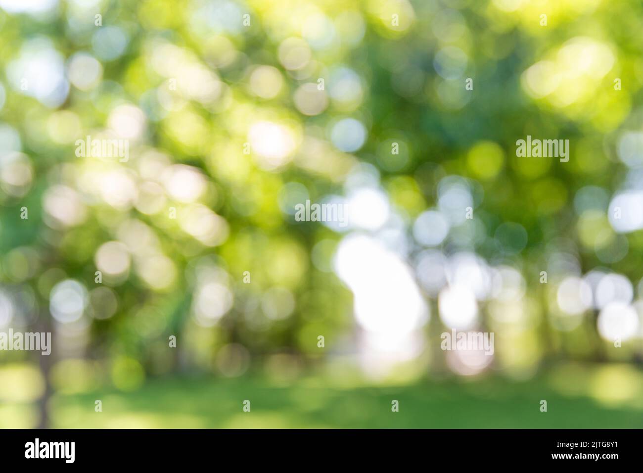 Backdrop of blurred scenery hi-res stock photography and images - Alamy