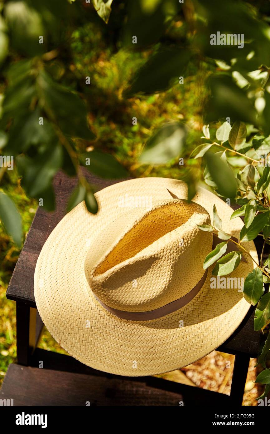 Garden stool top view hi-res stock photography and images - Alamy