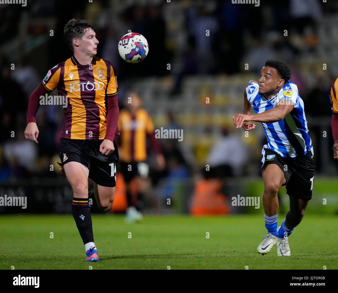 Leojo davidson hi-res stock photography and images - Alamy