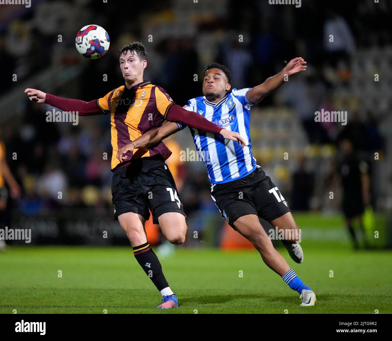 Leojo davidson hi-res stock photography and images - Alamy