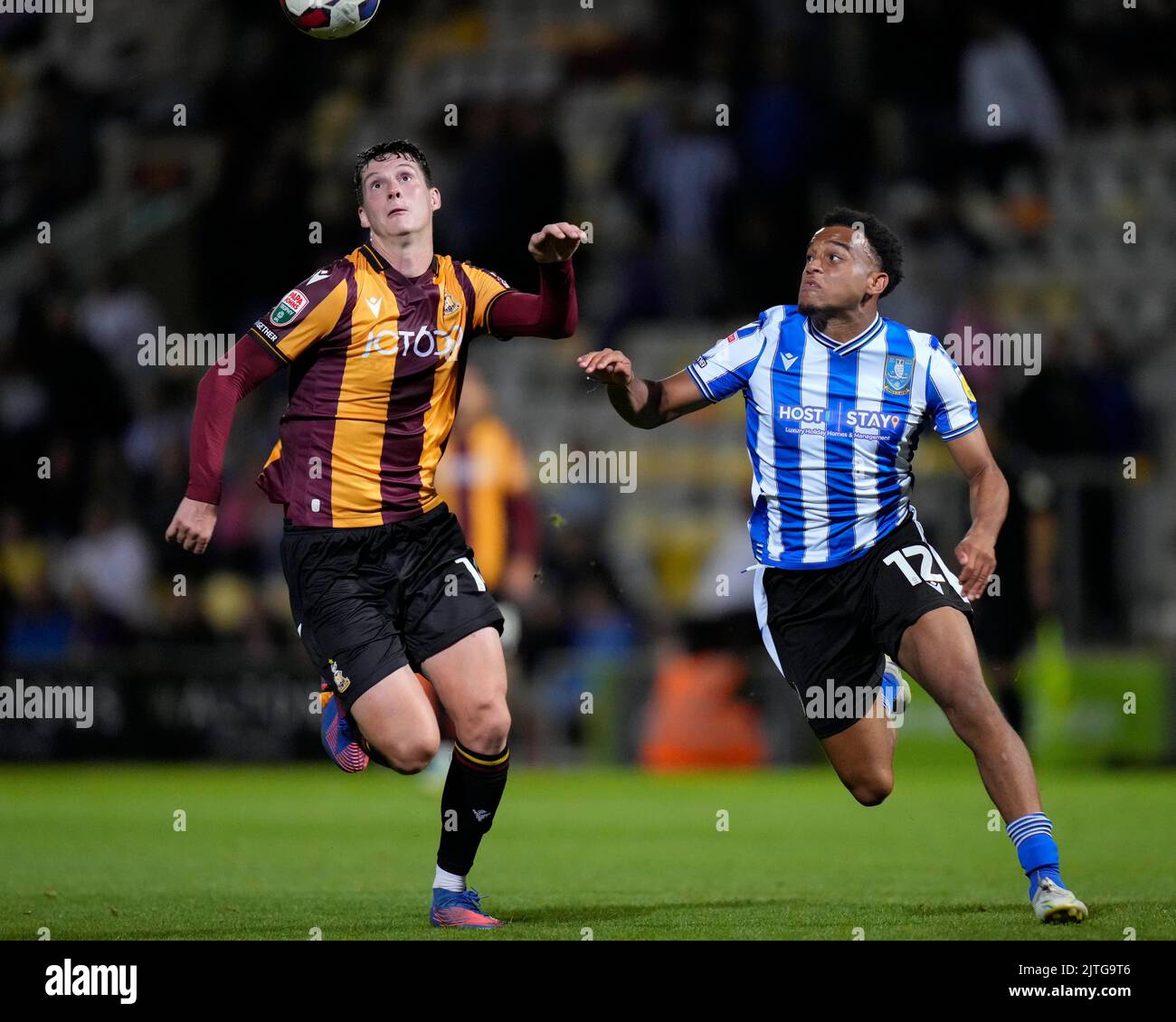 Leojo davidson hi-res stock photography and images - Alamy