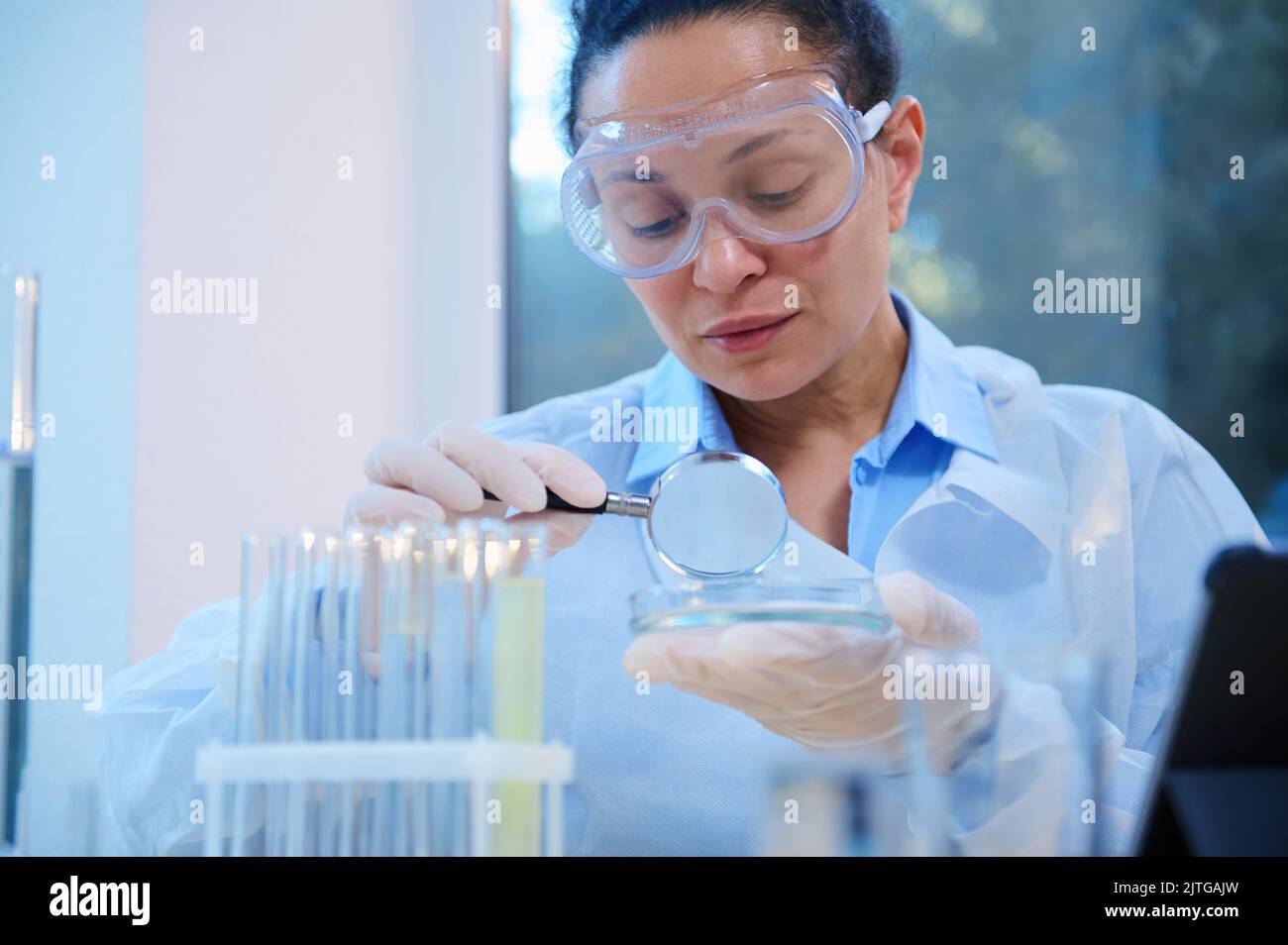 Medical biologist using loupe examines biological material in Petri ...