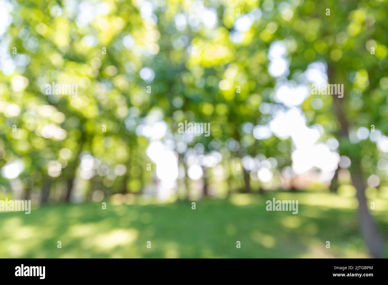 Backdrop of blurred scenery hi-res stock photography and images - Alamy