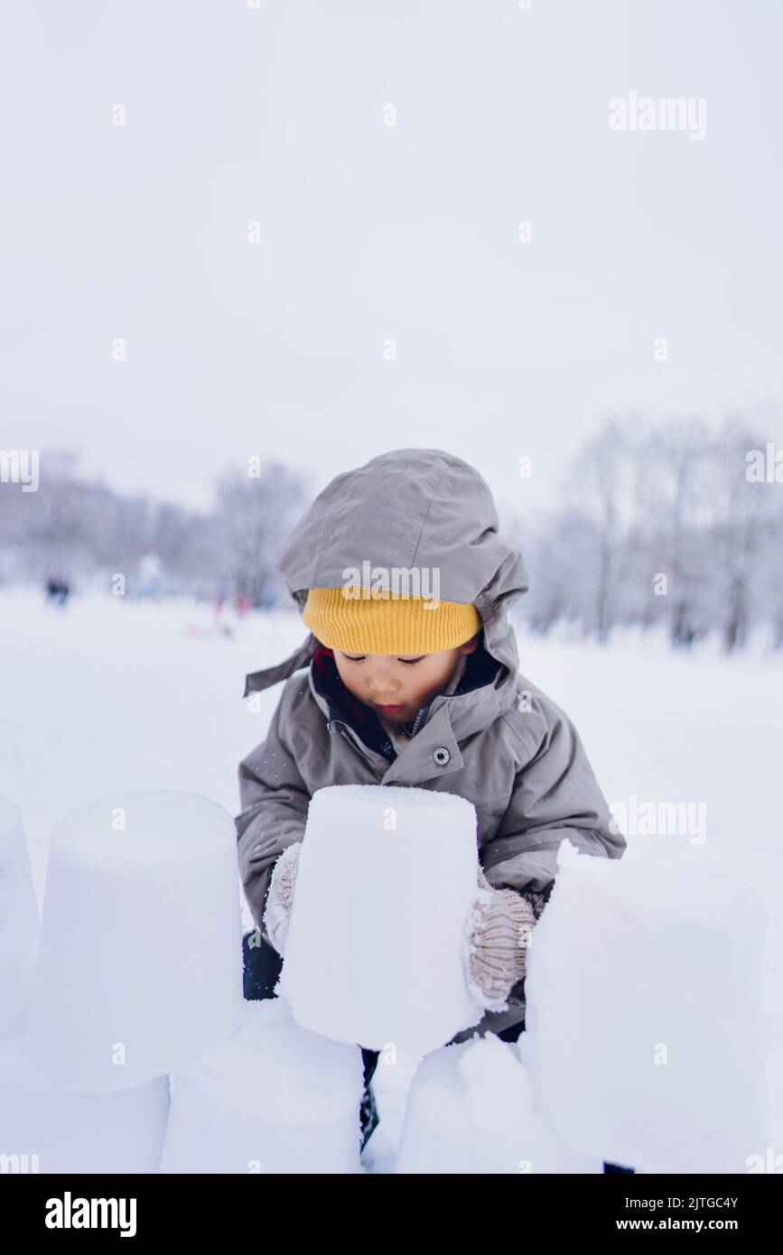 A young boy using snow as building blocks to create an igloo in the ...