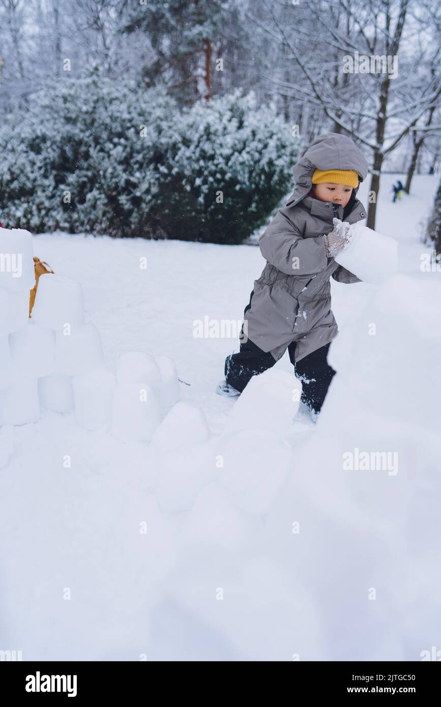 A young boy using snow as building blocks to create an igloo in the ...