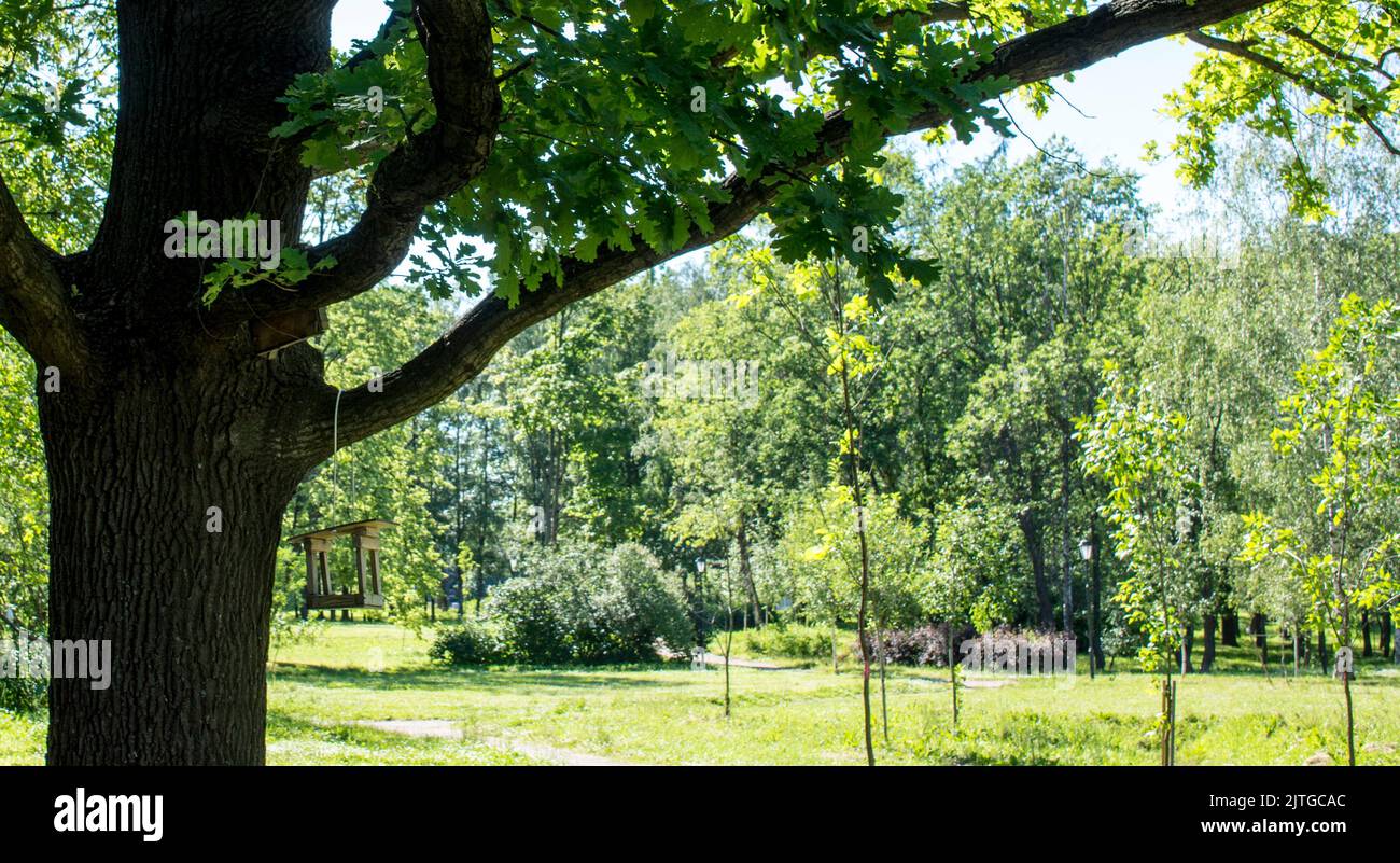 Hanging birdhouse on a tree. Feed for wild birds. Wooden house for ...