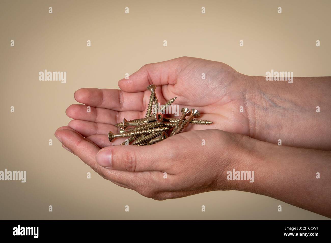 Screws in the hands of a woman for construction and repair work Stock ...