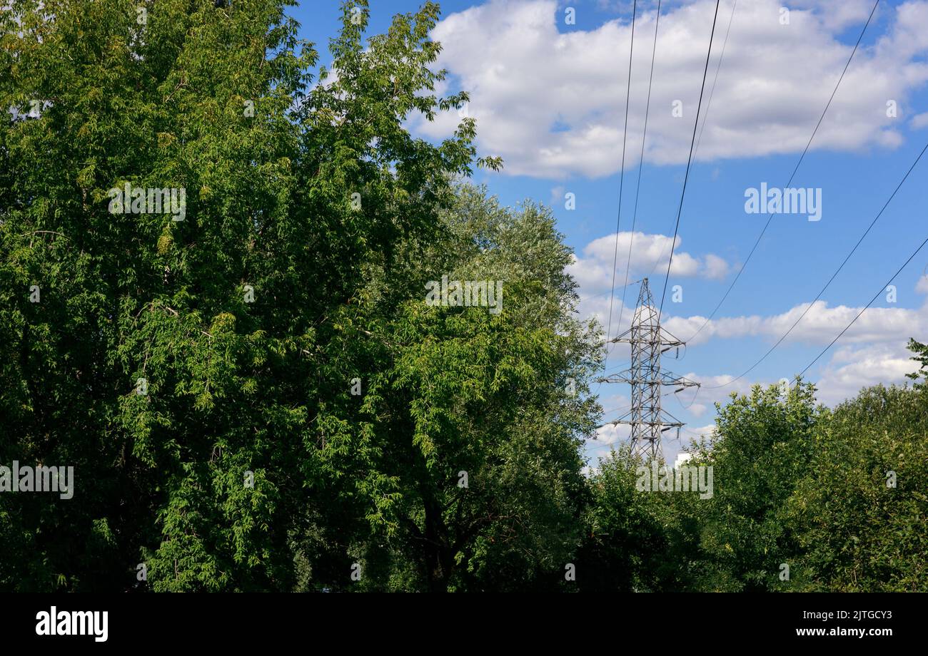 Electrical network of poles on blue sky and surrounded by green bushes ...