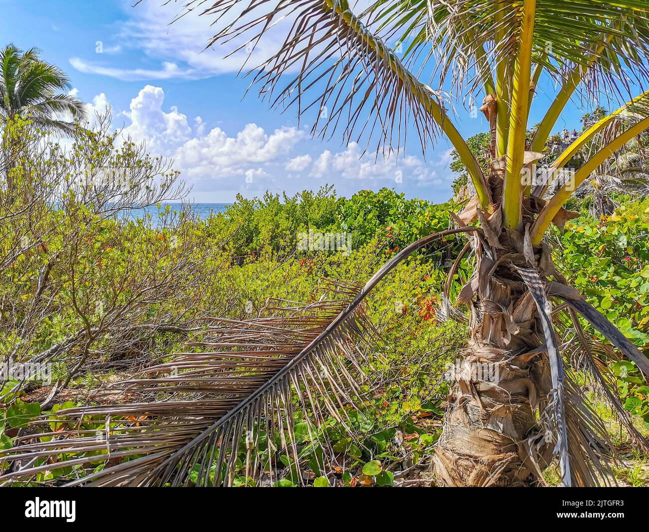 Natural seascape panorama view at the ancient Tulum ruins Mayan site ...