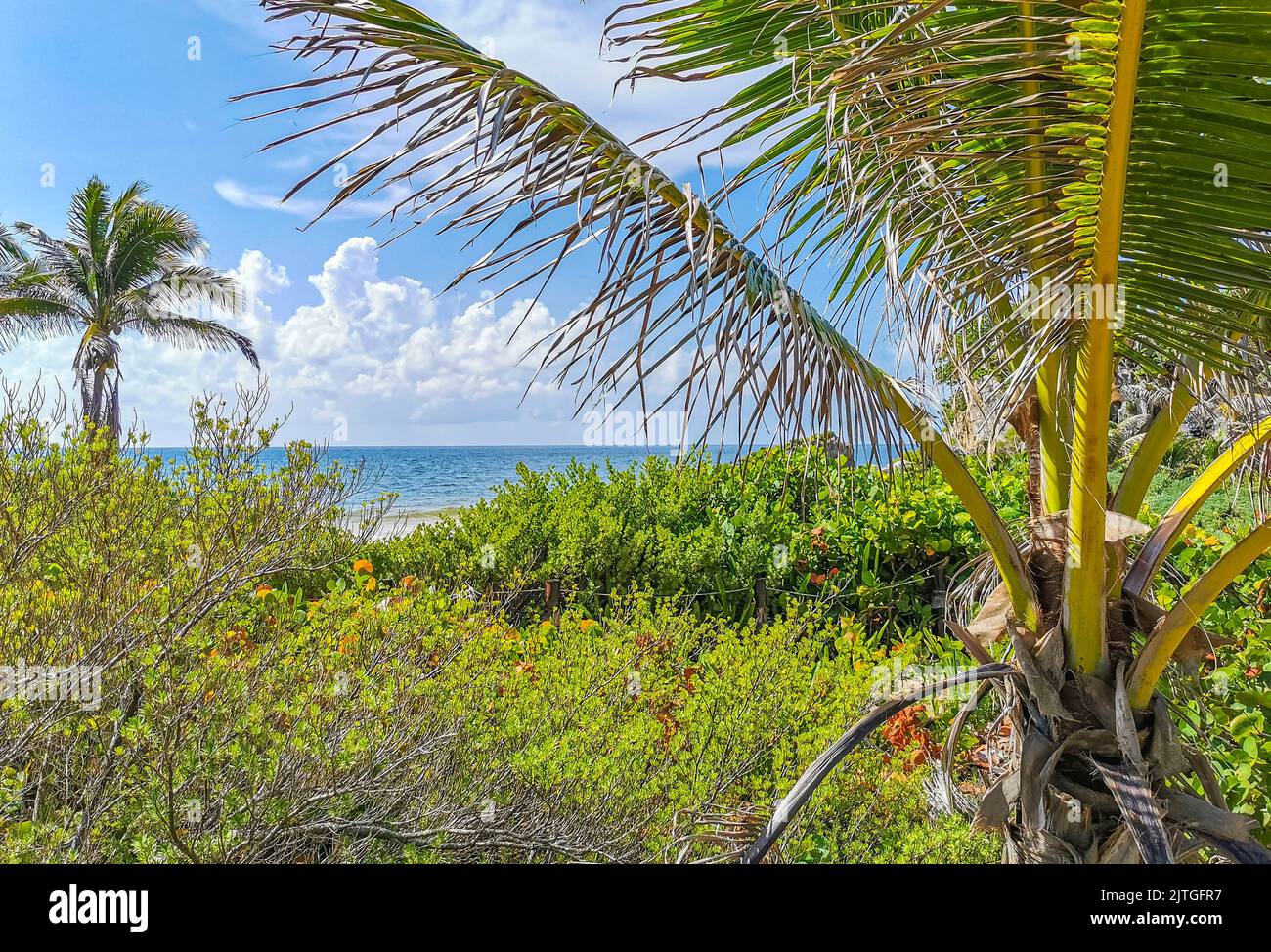 Natural seascape panorama view at the ancient Tulum ruins Mayan site ...