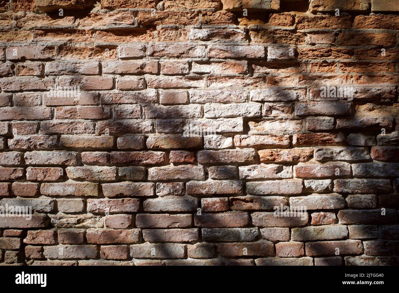 Cement brick wall shadow branches hi-res stock photography and images ...