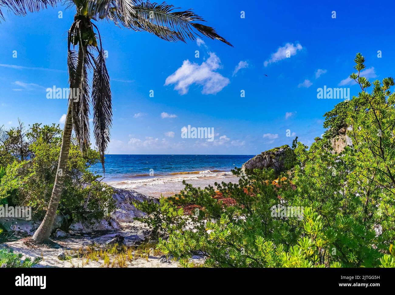 Natural seascape panorama view at the ancient Tulum ruins Mayan site ...