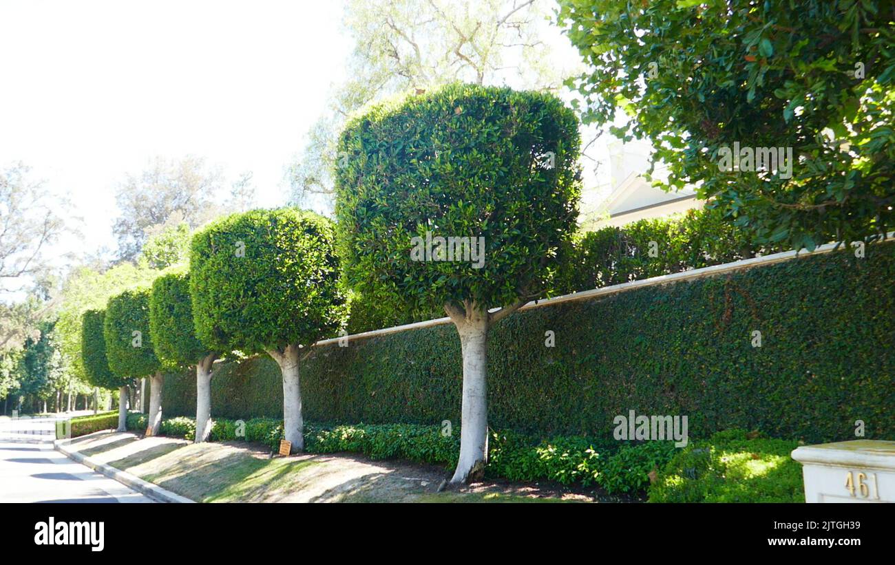 Los Angeles, California, USA 27th August 2022 Actress Irene Dunne and ...