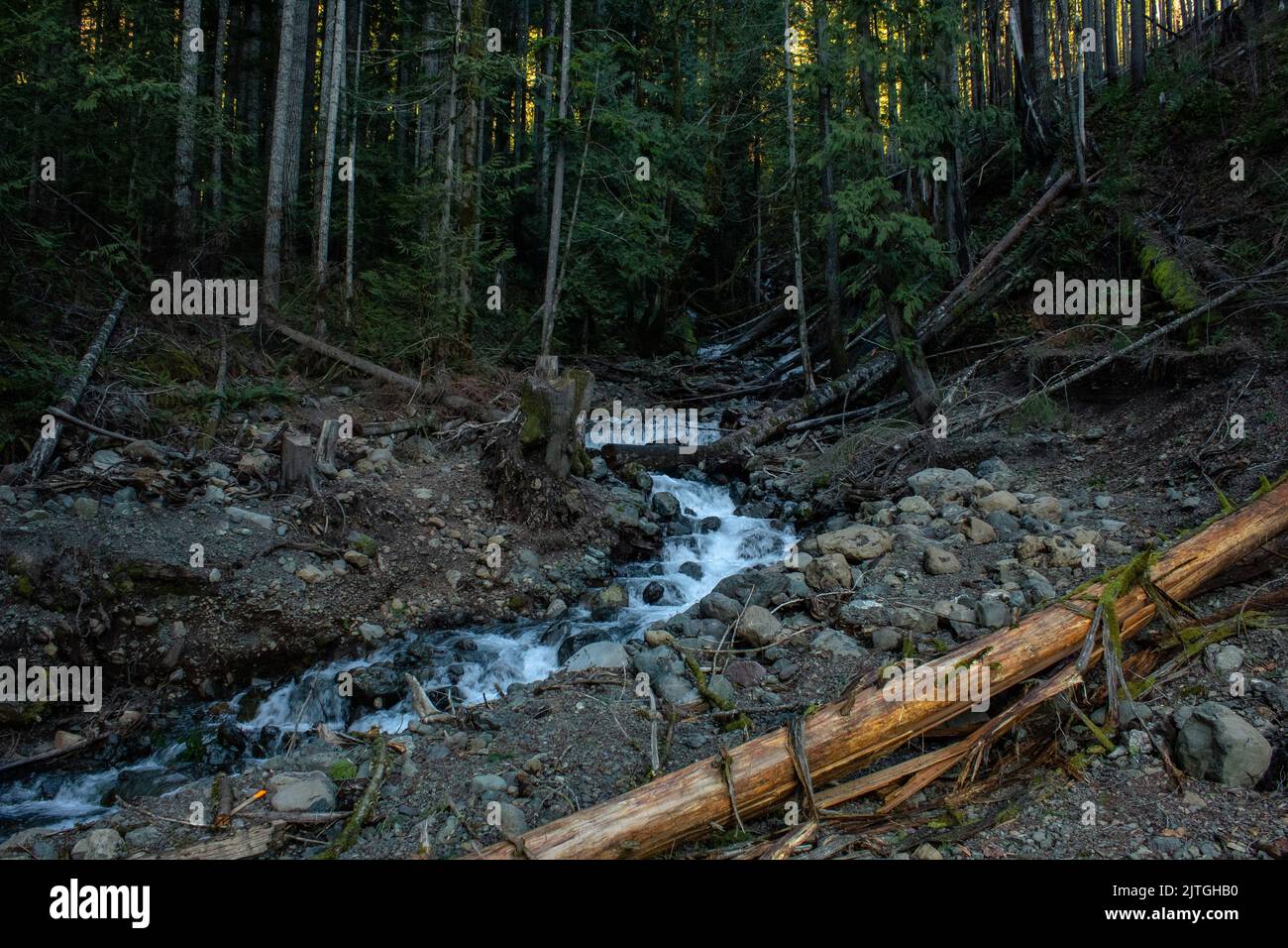 A beautiful shot of a river stream through a rocky path in the middle ...