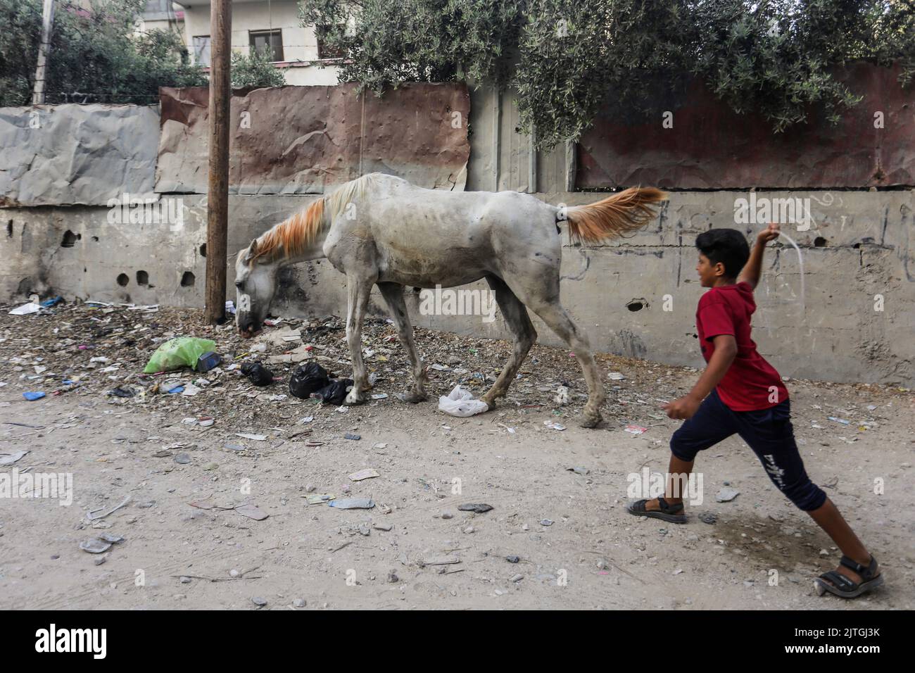 August 30, 2022, Gaza City, The Gaza Strip, Palestine: A Palestinian ...
