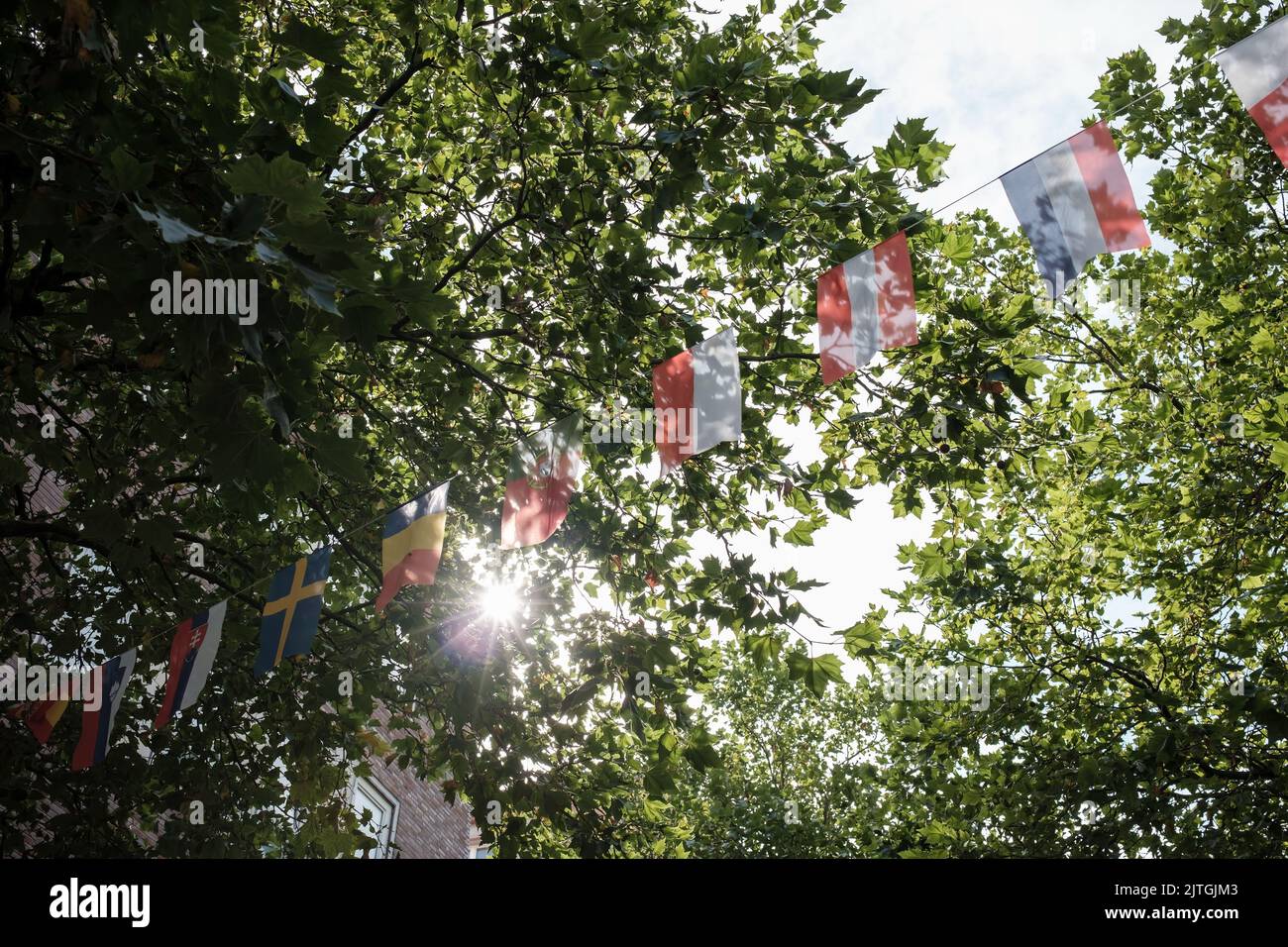 flags of european countries hang on the street Stock Photo - Alamy