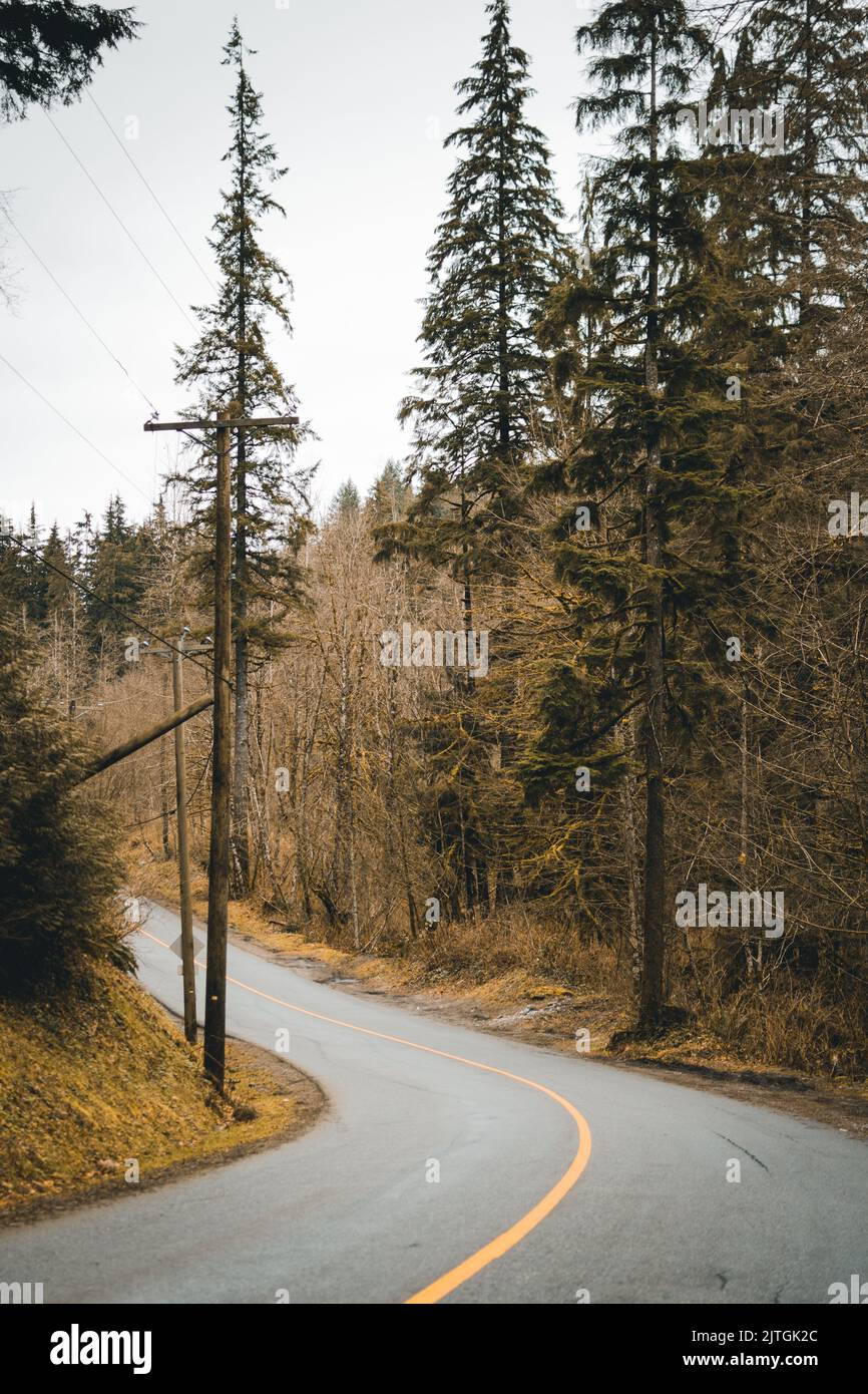 An asphalt road with a solid yellow line carves its way through the ...