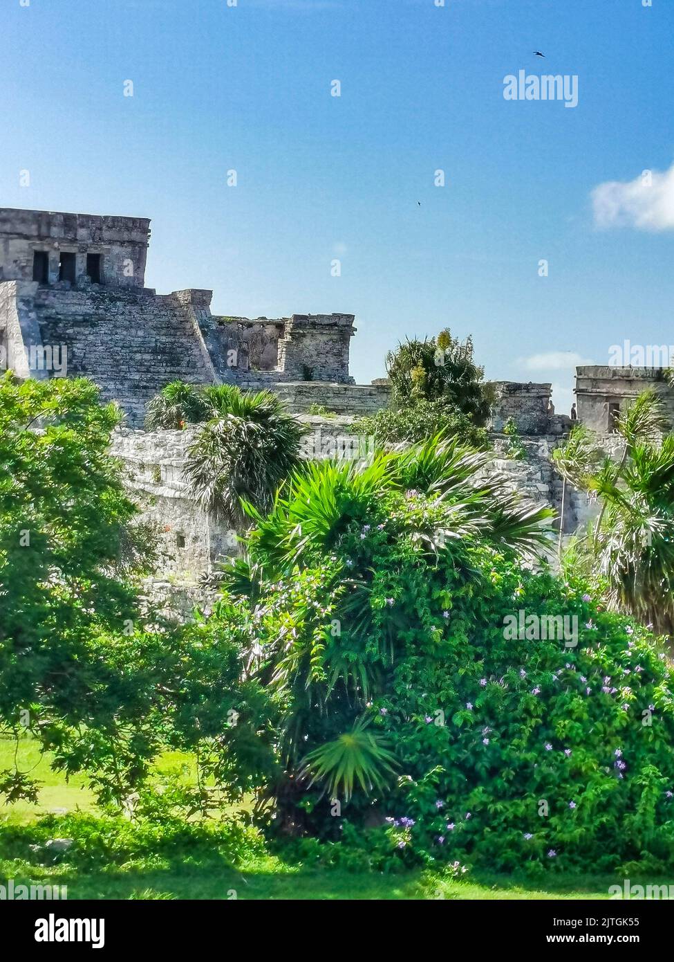Ancient Tulum ruins Mayan site with temple ruins pyramids and artifacts ...