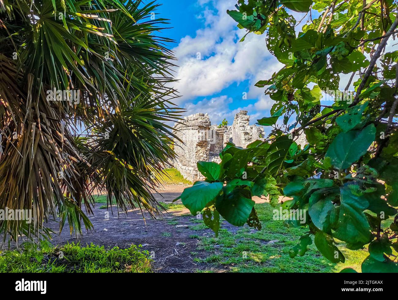 Ancient Tulum ruins Mayan site with temple ruins pyramids and artifacts ...