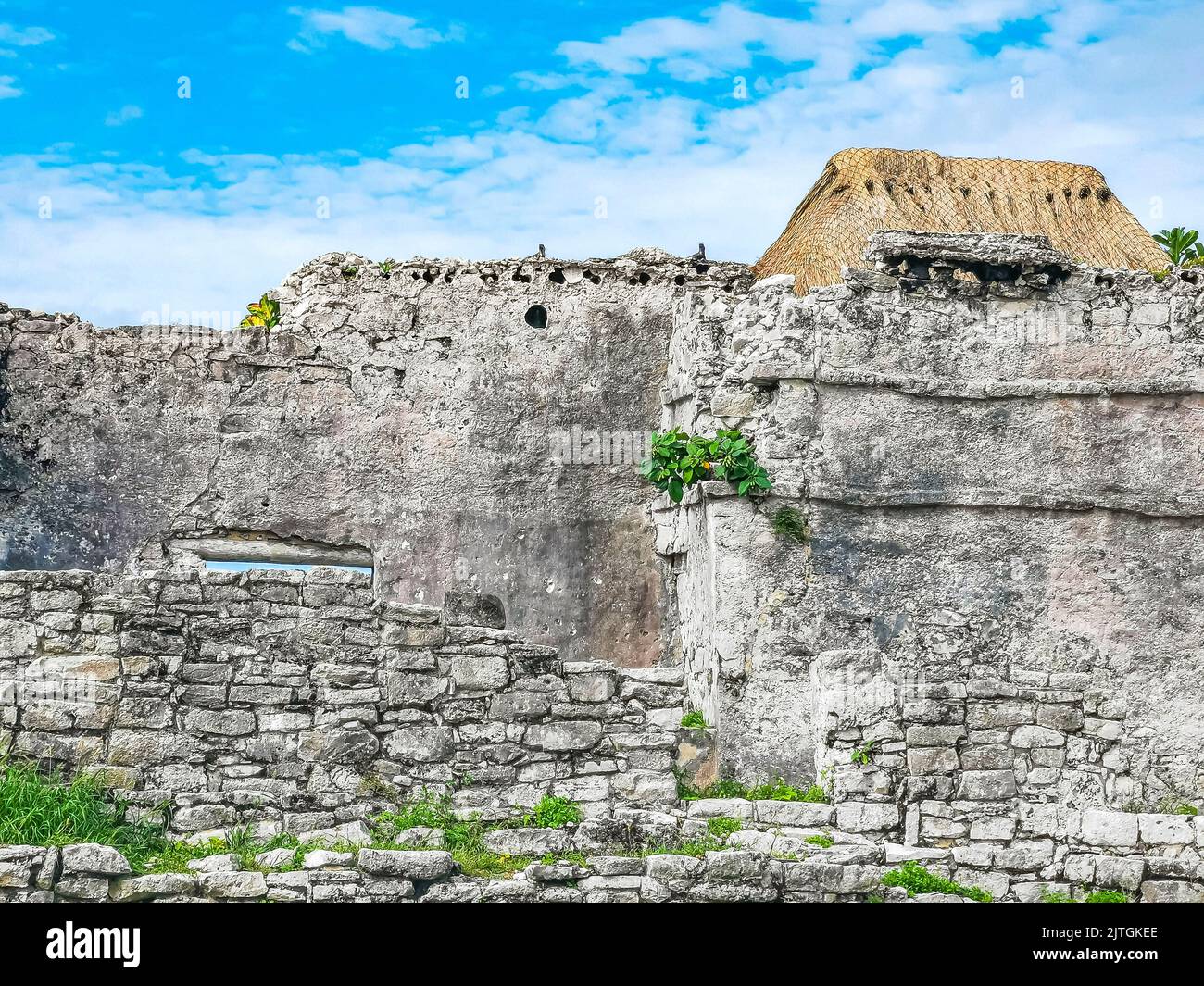 Ancient Tulum ruins Mayan site with temple ruins pyramids and artifacts ...