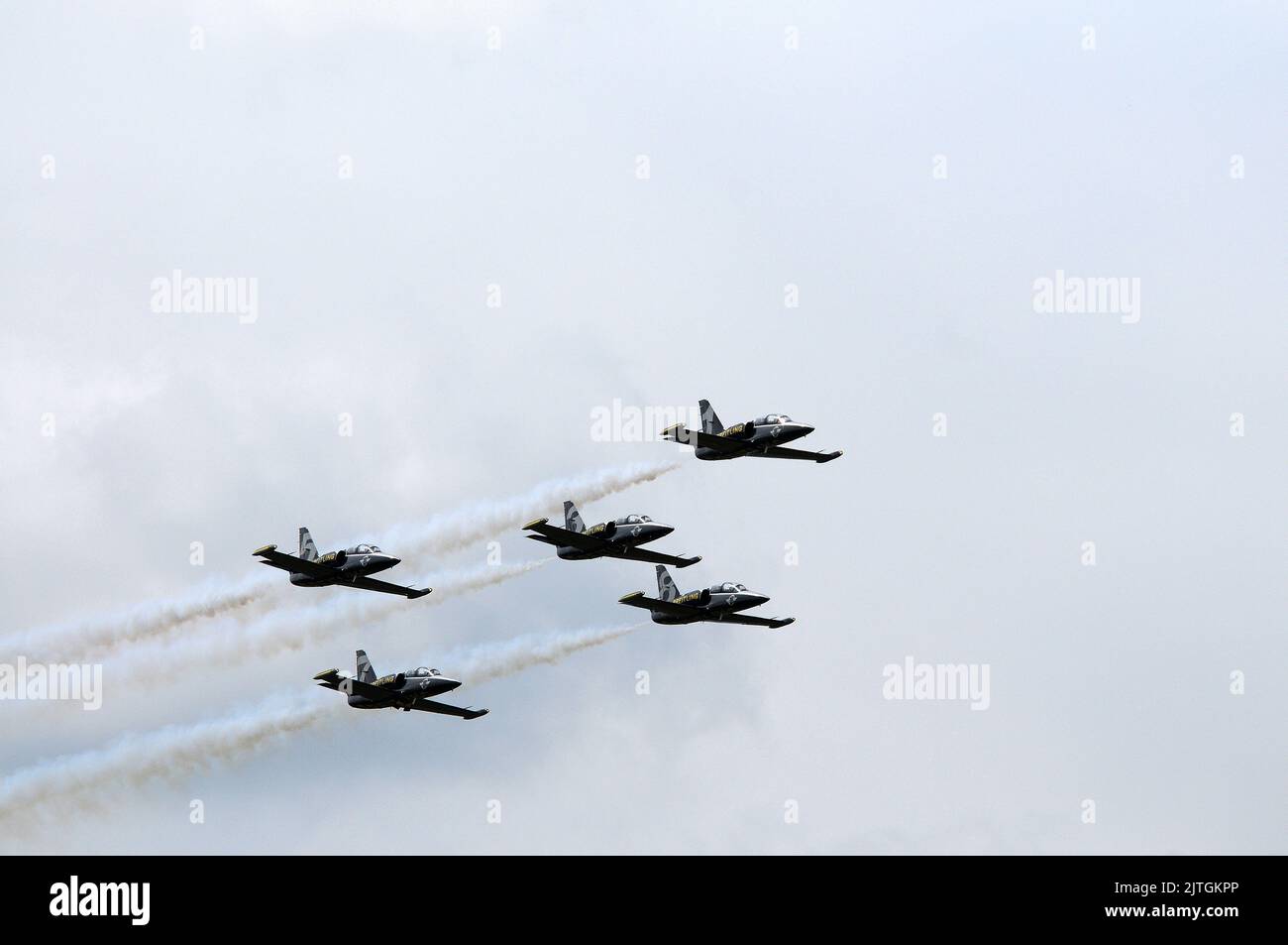 The Breitling Jet Team. 7 L-39C Albatros aircraft Stock Photo - Alamy