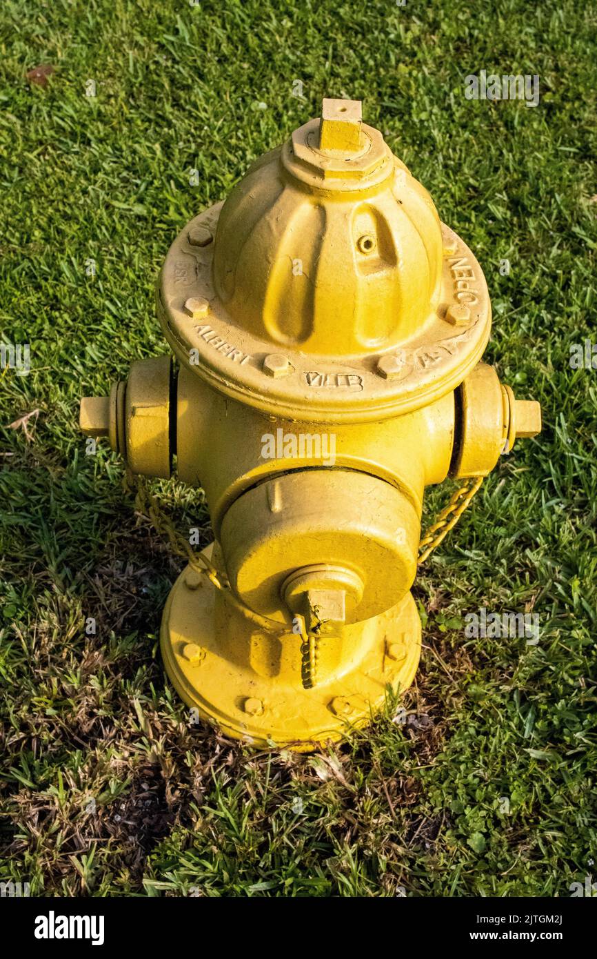 A vertical shot of a yellow fire hydrant surrounded by grass-covered ...