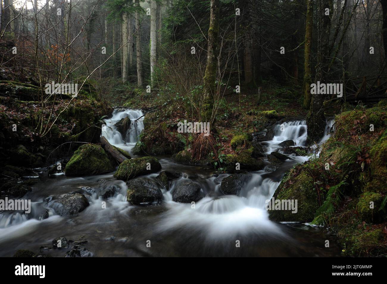 Afon Rhwiddolion (centre) and a tributary Stock Photo - Alamy
