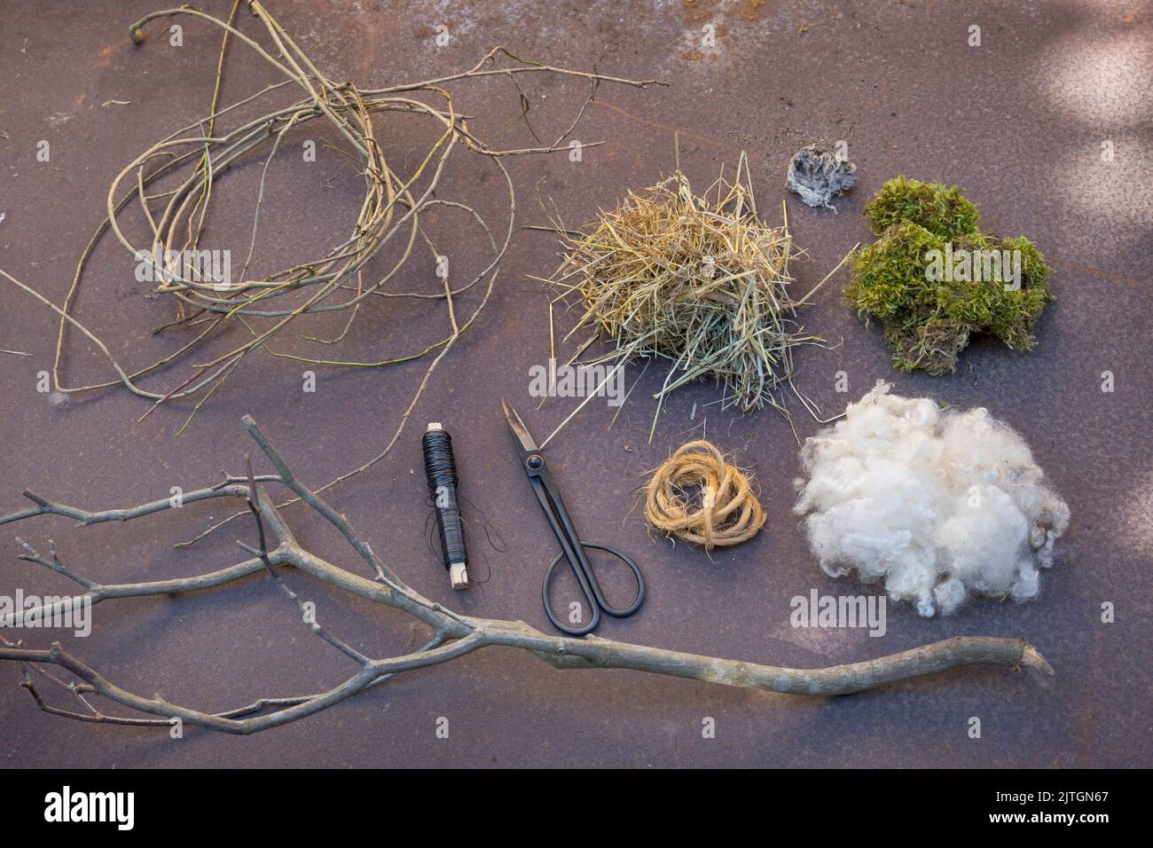 Nesting material for birds in the garden, step 1/4: Material ...