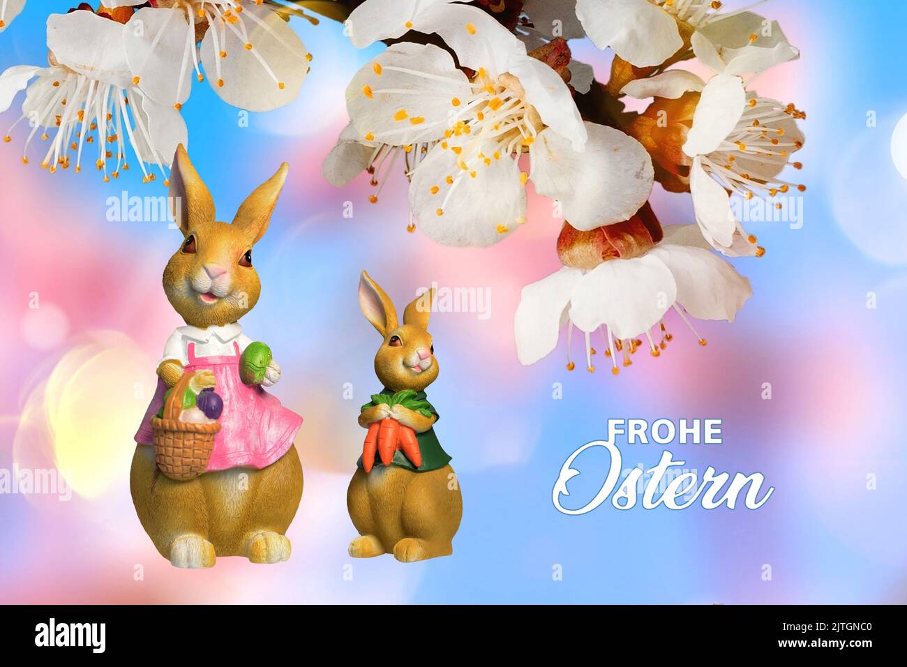 Female easter bunny hi-res stock photography and images - Alamy