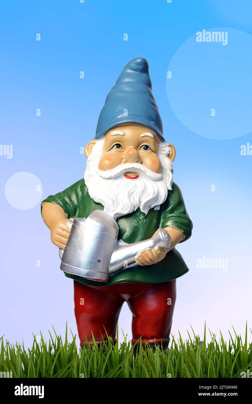 garden dwarf with watering can on a lawn in a garden, composing Stock ...