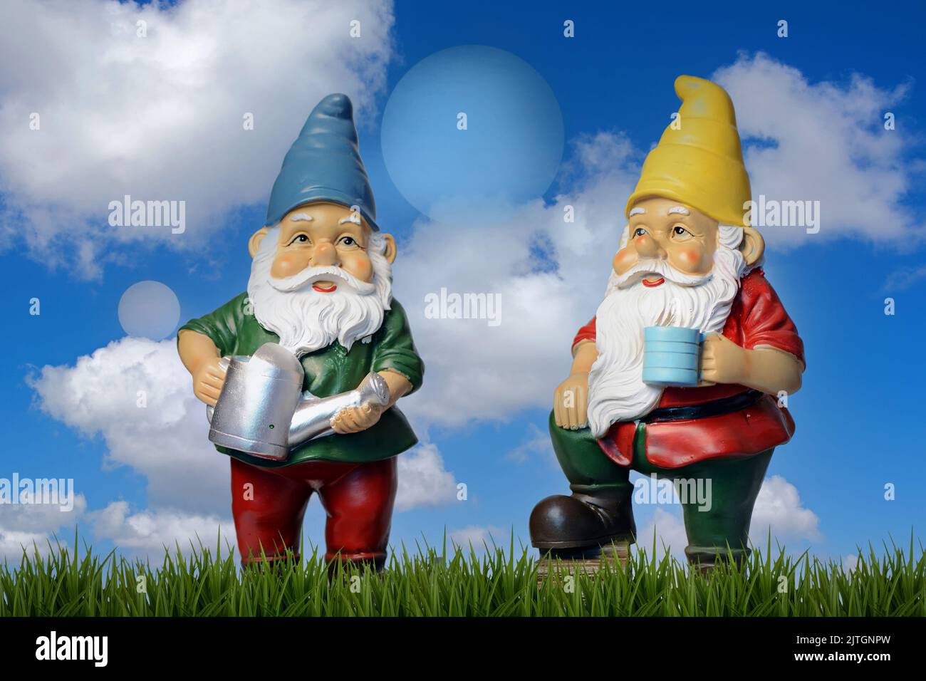 garden dwarfs with cup and watering can on a lawn in a garden Stock ...