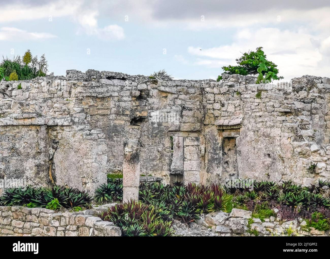 Ancient Tulum ruins Mayan site with temple ruins pyramids and artifacts ...