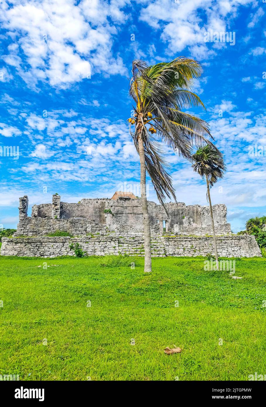 Ancient Tulum ruins Mayan site with temple ruins pyramids and artifacts ...