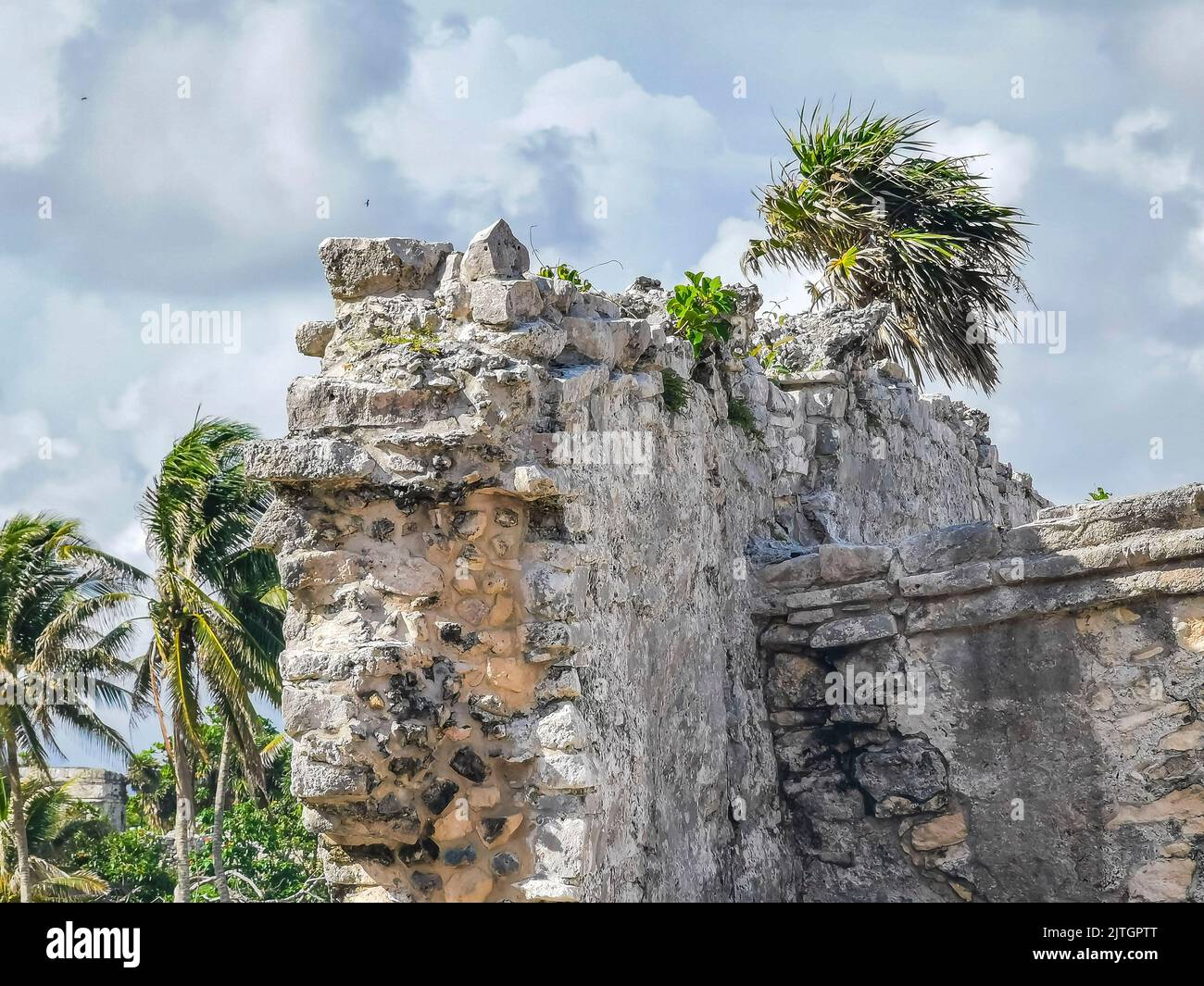 Ancient Tulum ruins Mayan site with temple ruins pyramids and artifacts ...