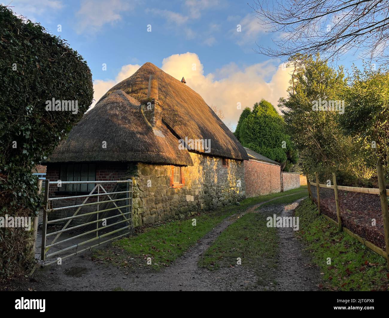Traditional English thatched cottage on a farm track Stock Photo - Alamy