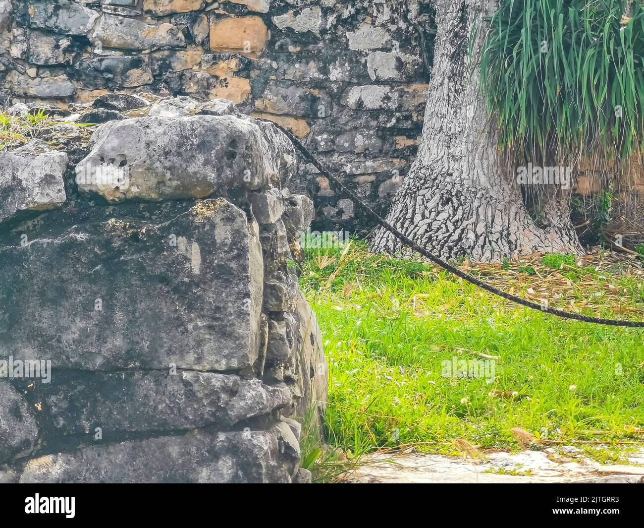 Ancient Tulum ruins Mayan site with temple ruins pyramids and artifacts ...