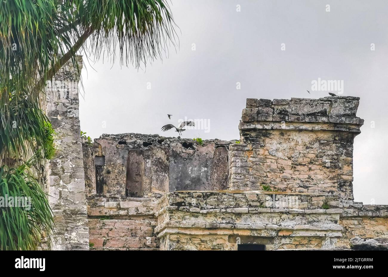 Ancient Tulum ruins Mayan site with temple ruins pyramids and artifacts ...