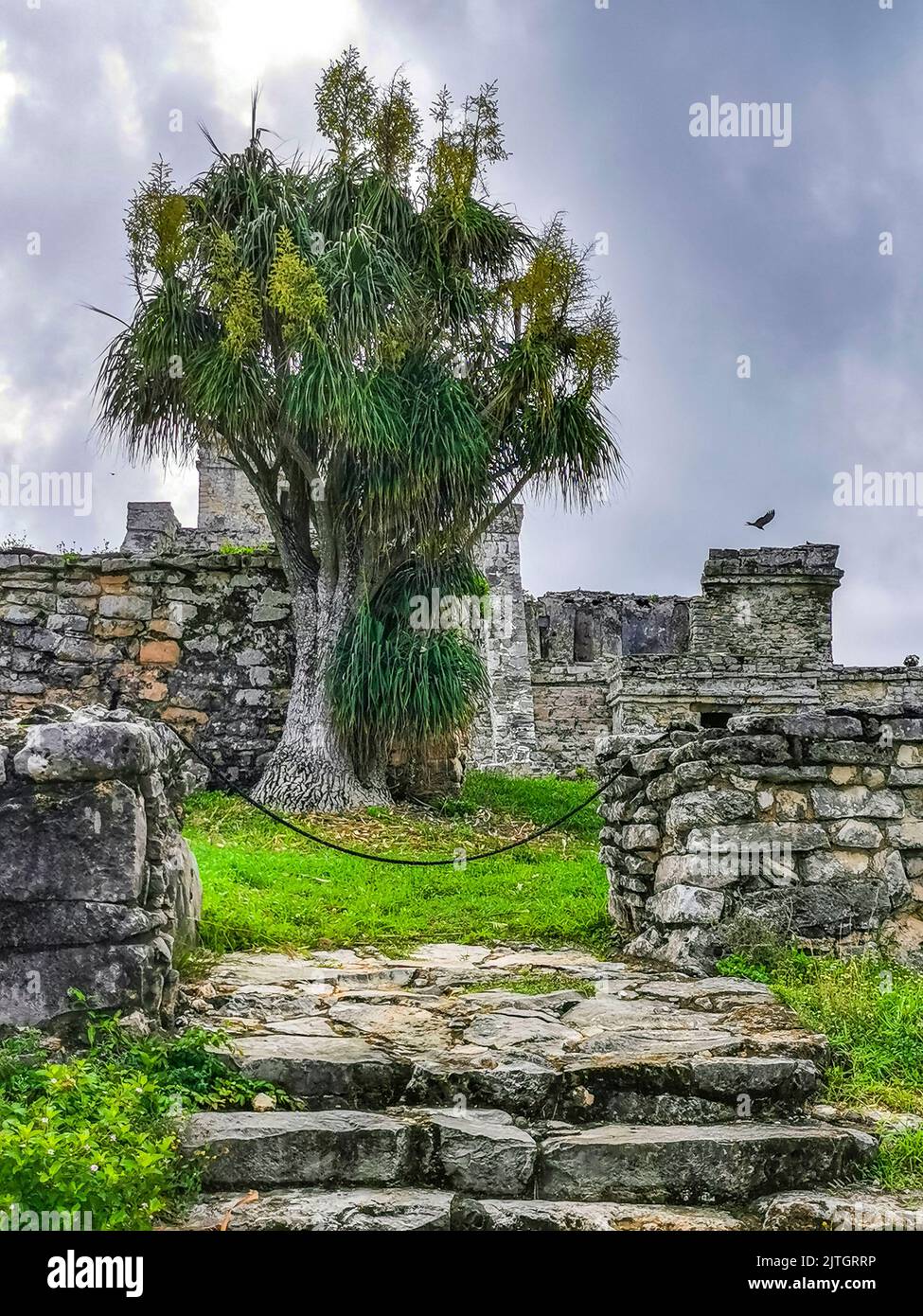 Ancient Tulum ruins Mayan site with temple ruins pyramids and artifacts ...