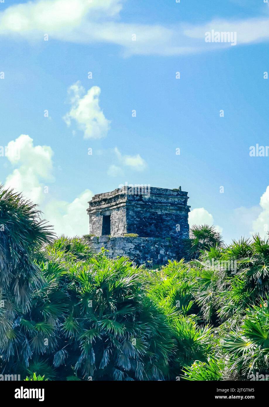 Ancient Tulum ruins Mayan site with temple ruins pyramids and artifacts ...