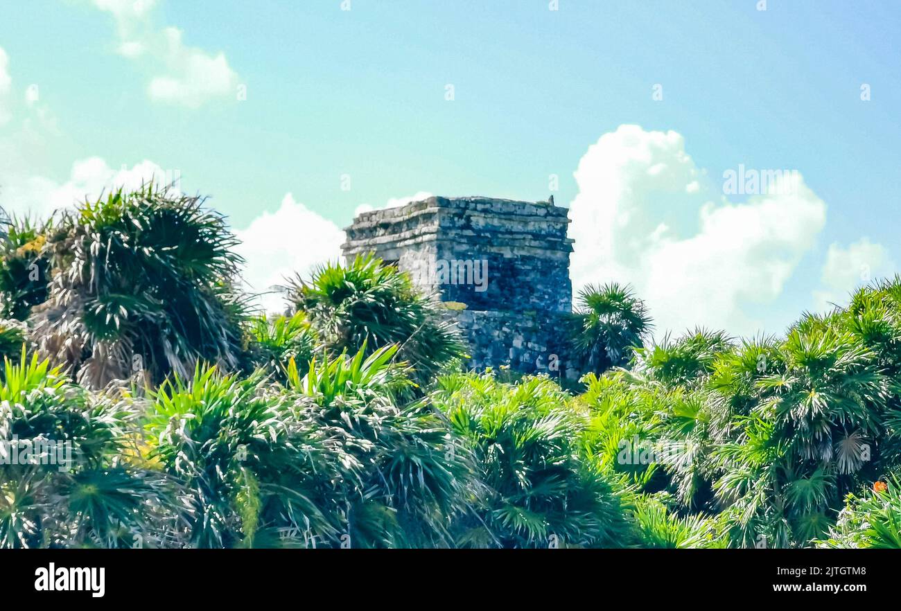 Ancient Tulum ruins Mayan site with temple ruins pyramids and artifacts ...