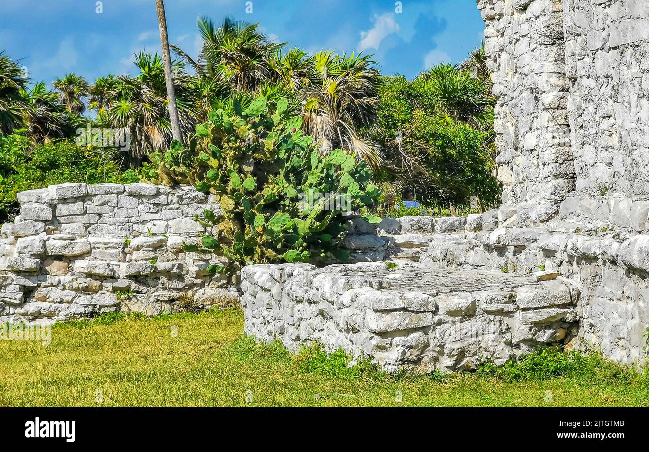 Ancient Tulum ruins Mayan site with temple ruins pyramids and artifacts ...