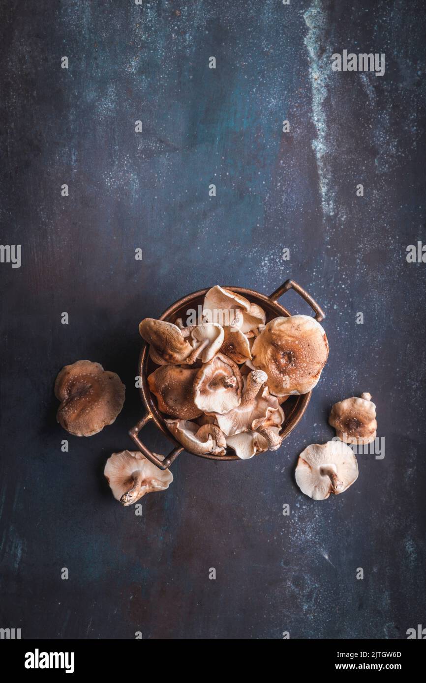 Shiitake mushrooms in small colander with dark background Stock Photo ...